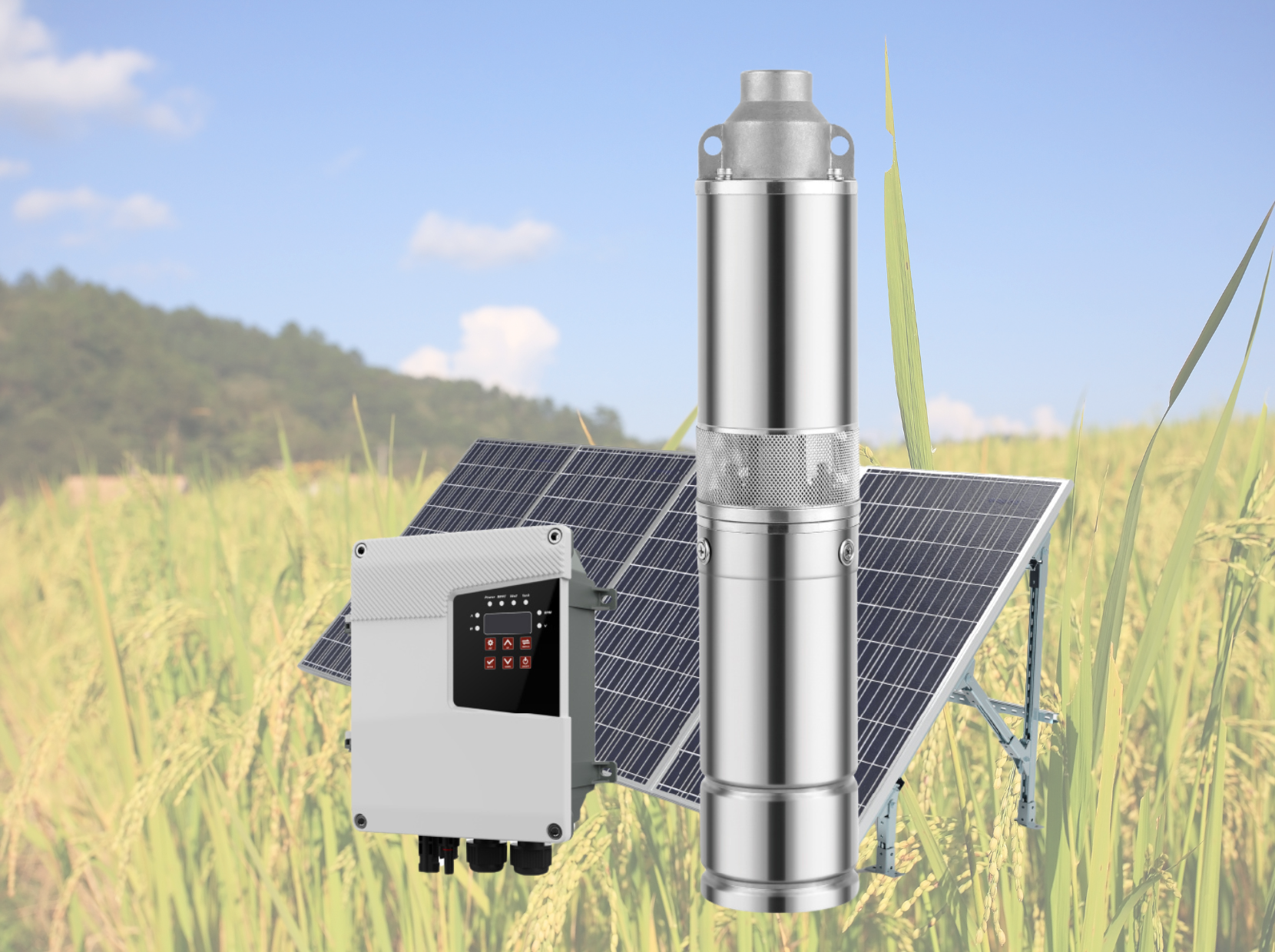 The Principle and Application of Solar Water Pumps: The Magic Power ...
